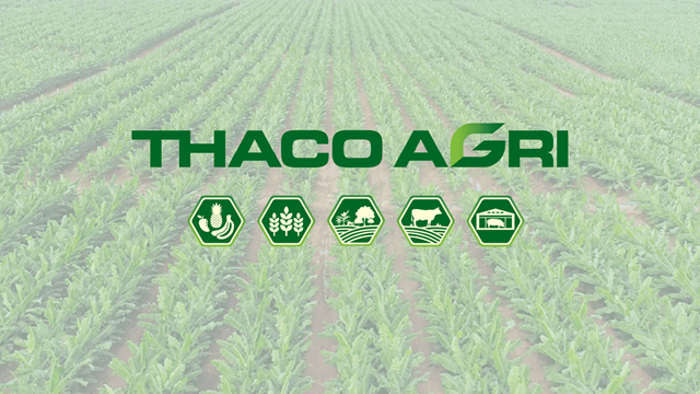 HAGL Agrico (HNG) bổ nhiệm Phó Tổng giám đốc mới