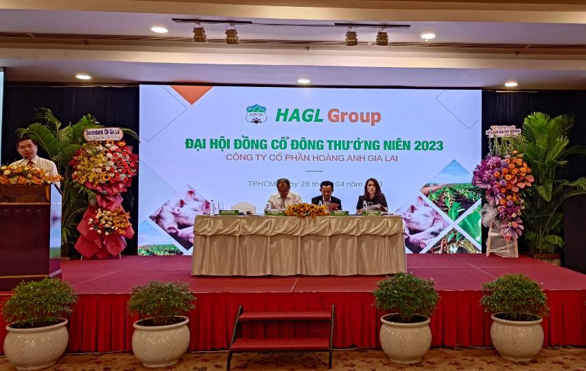 ĐHĐCĐ 2023: Hoàng Anh Gia Lai (HAG) thưởng 20 triệu ESOP cho những người gắn bó với công ty ...